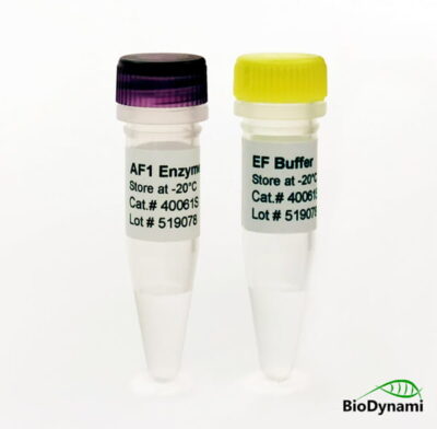 DNA Fragmentation Enzyme | 30 minutes Protocol