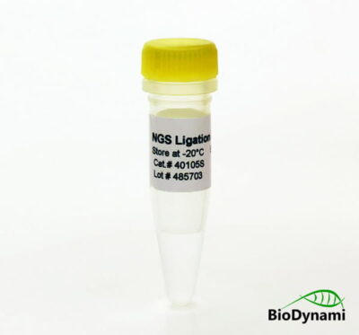 NGS Ligation Enzyme | BioDynami