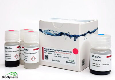Plasmid MiniPrep Kits (Magnetic Beads) | BioDynami
