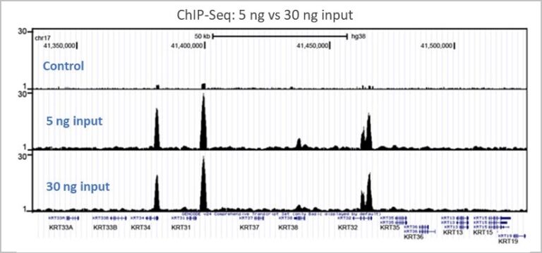 ChIP-Seq Library Prep Kit | BioDynami