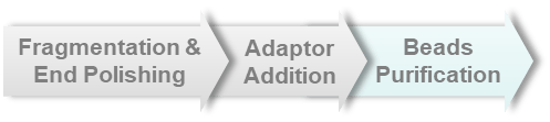 NGS DNA Fragmentation & Library Prep Kit: Intact gDNA to Library